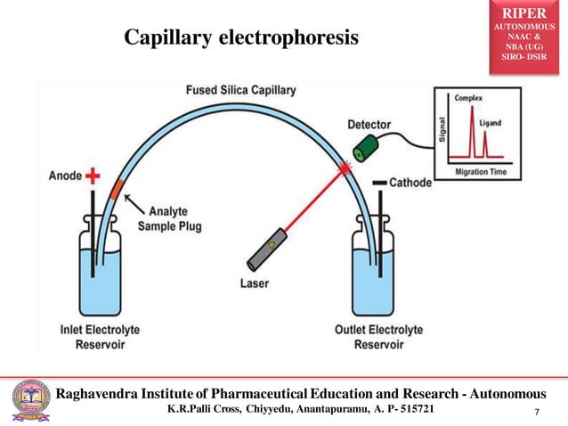 Capillary Electrophoresis | PDF