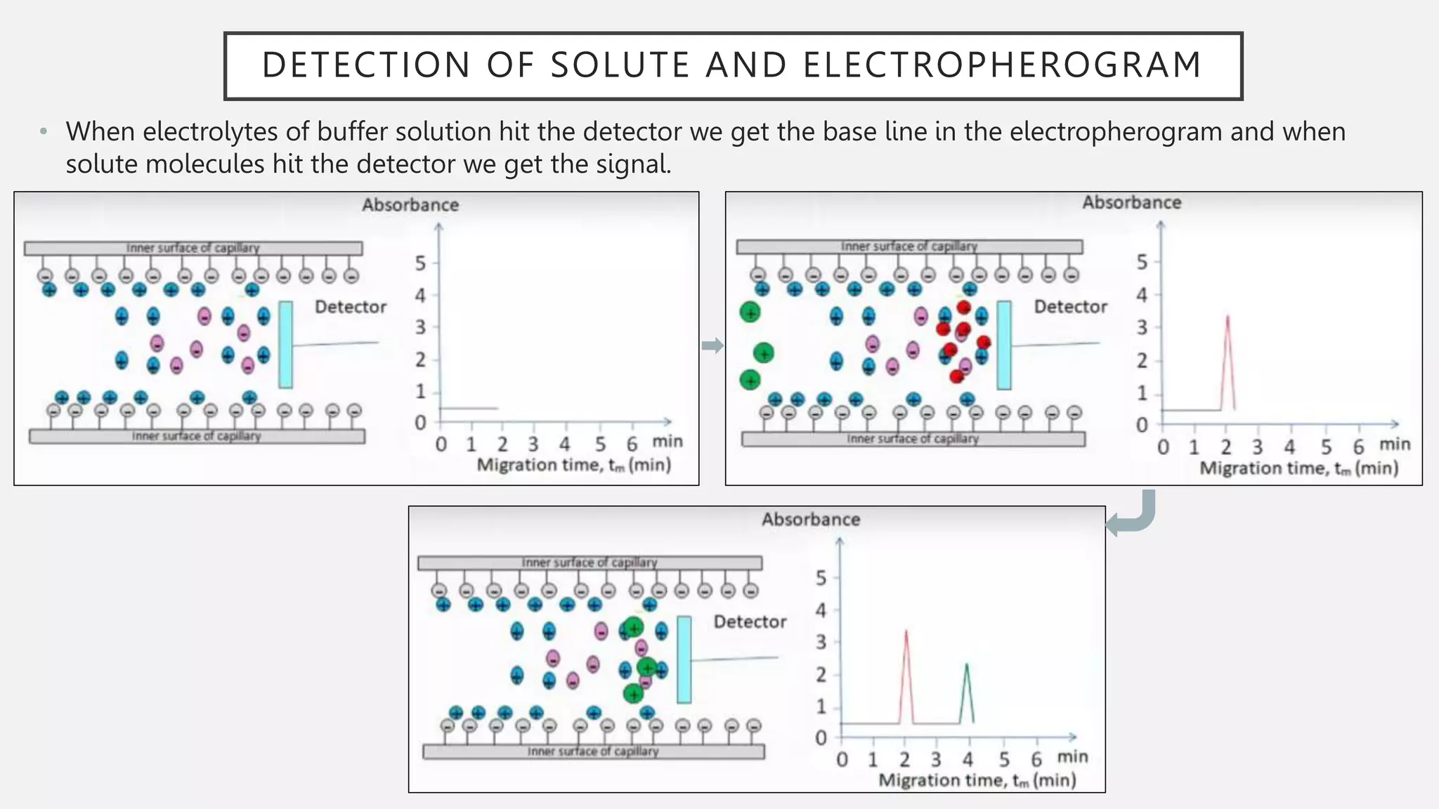 Capillary electrophoresis.pptx