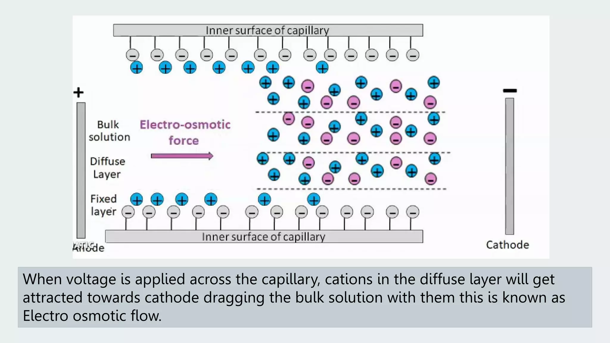 Capillary electrophoresis.pptx