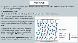Capillary electrophoresis.pptx
