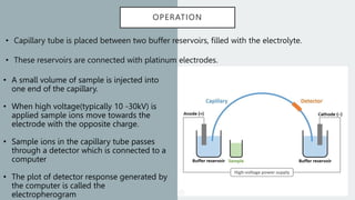 Capillary electrophoresis.pptx