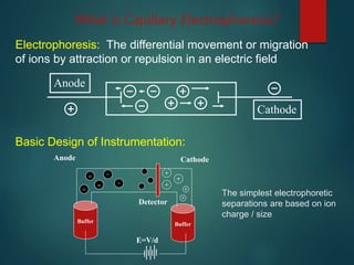 Capillary_Electrophoresis.pptx