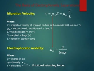 Capillary_Electrophoresis.pptx