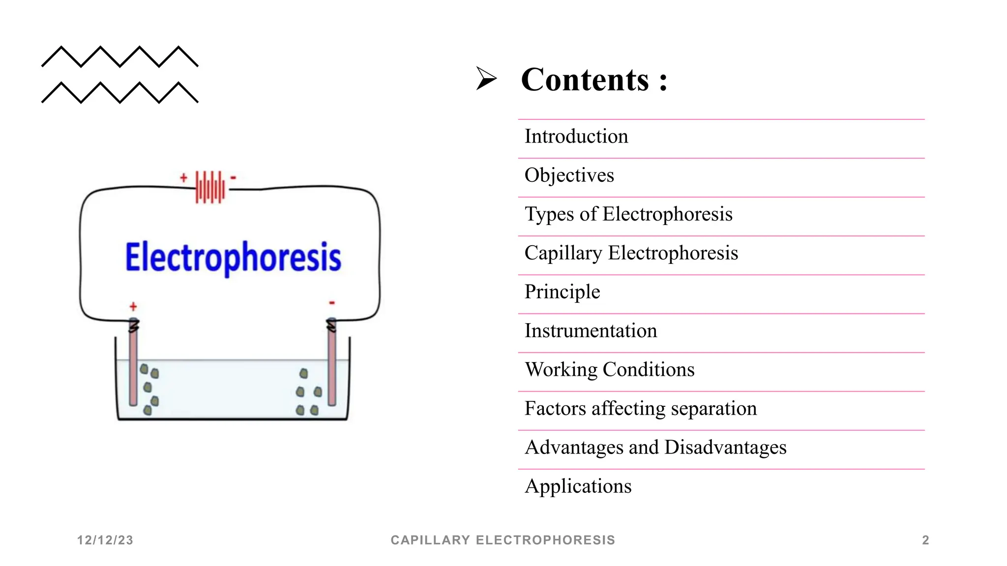 MPAT (MPL 101T) - Capillary Electrophoresis.pptx