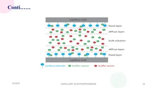 MPAT (MPL 101T) - Capillary Electrophoresis.pptx