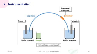 MPAT (MPL 101T) - Capillary Electrophoresis.pptx