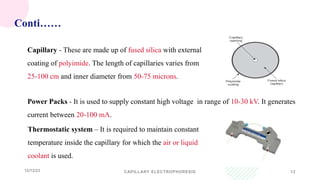 MPAT (MPL 101T) - Capillary Electrophoresis.pptx
