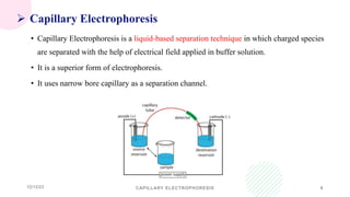 MPAT (MPL 101T) - Capillary Electrophoresis.pptx