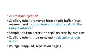 Capillary electrophoresis- 3rd bsc.pptx