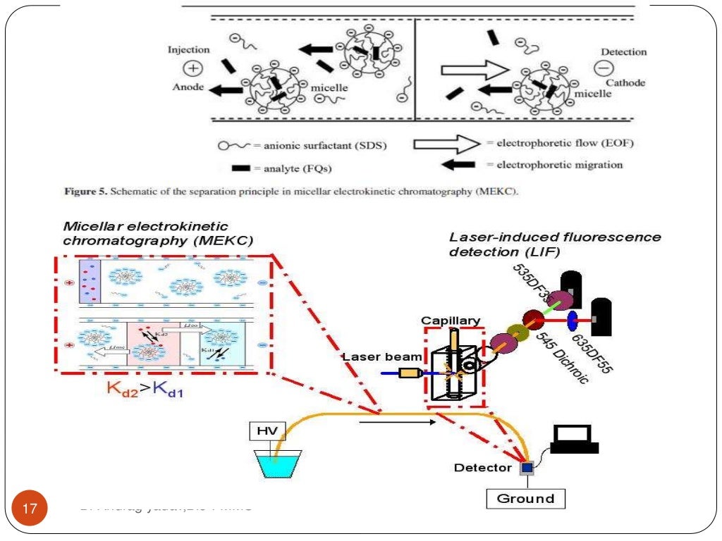 Capillary electrophoresis and application by Dr. Anurag Yadav Capillary electrophoresis and application by Dr. Anurag Yadav
