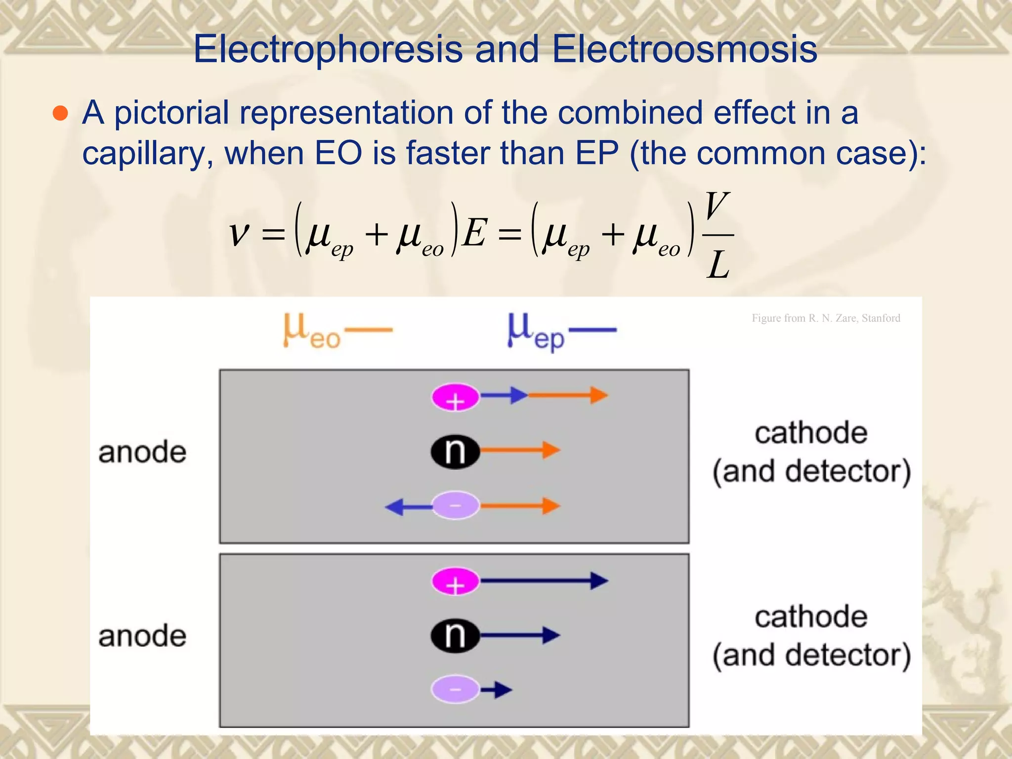 Capillary electrophoresis final ppt. | PPT
