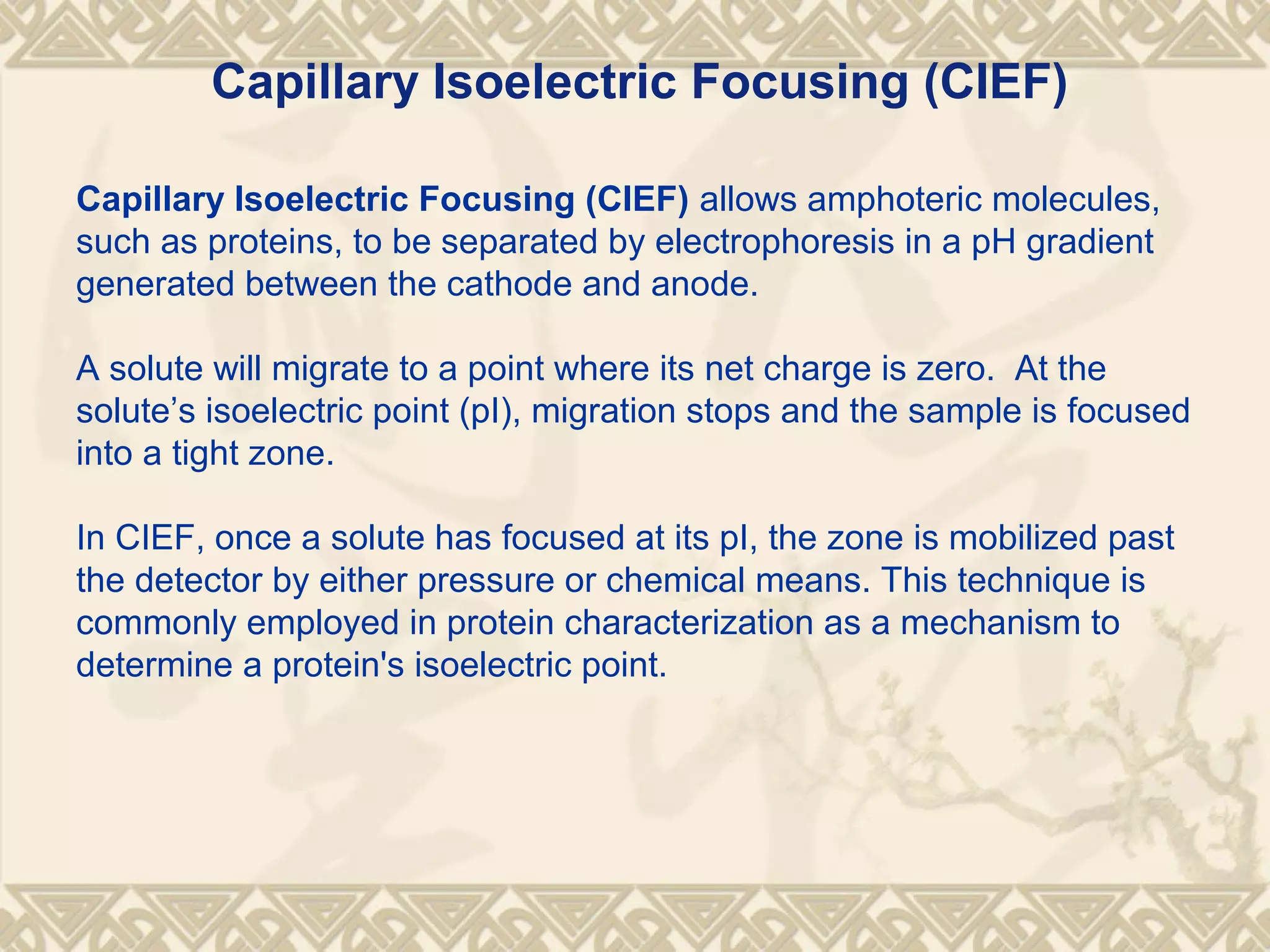 Capillary electrophoresis final ppt. | PPT