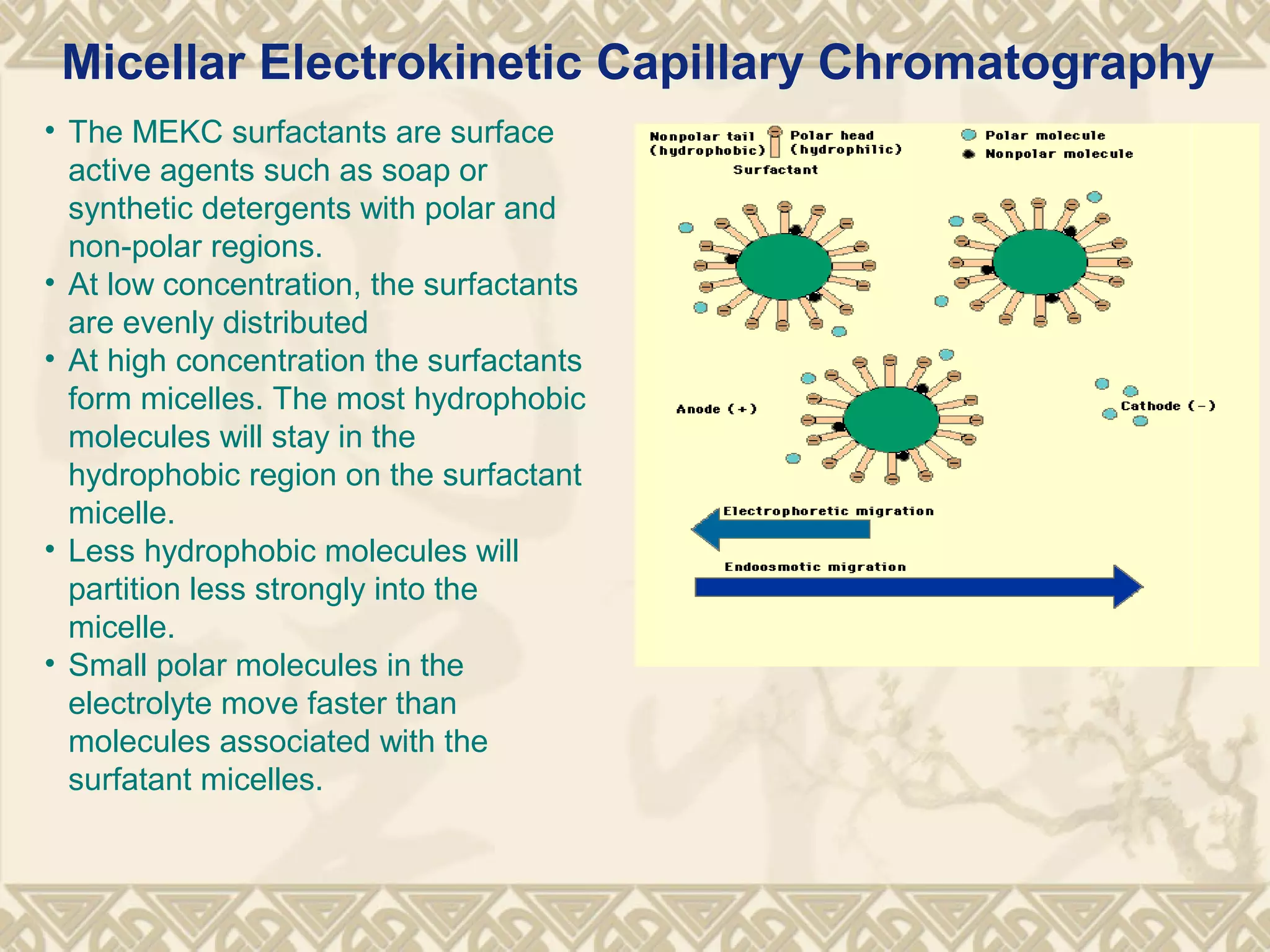 Capillary electrophoresis final ppt. | PPT