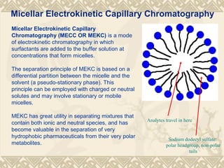 Capillary electrophoresis final ppt. | PPT