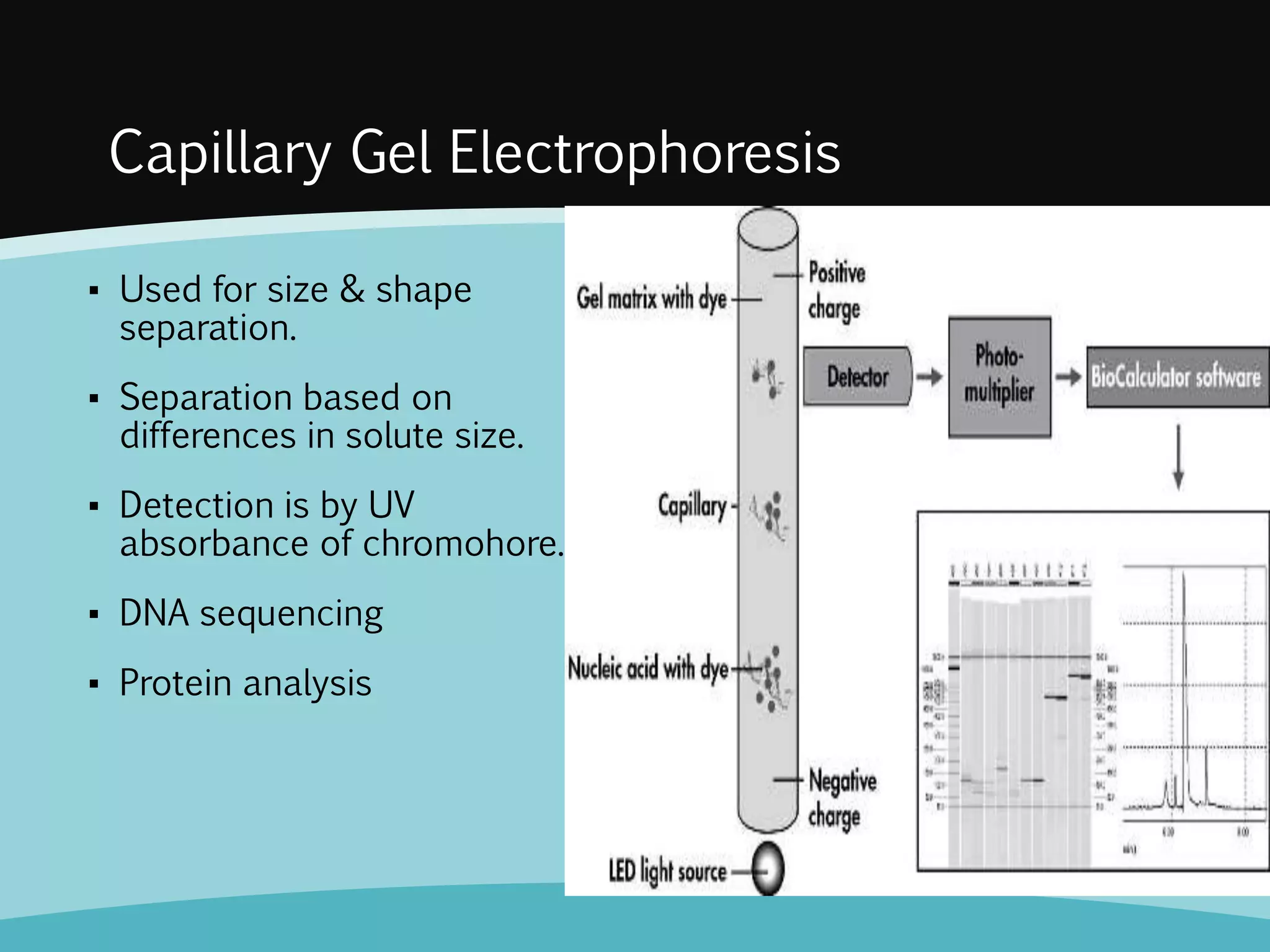 Capillary electrophoresis principles and applications | PPTX