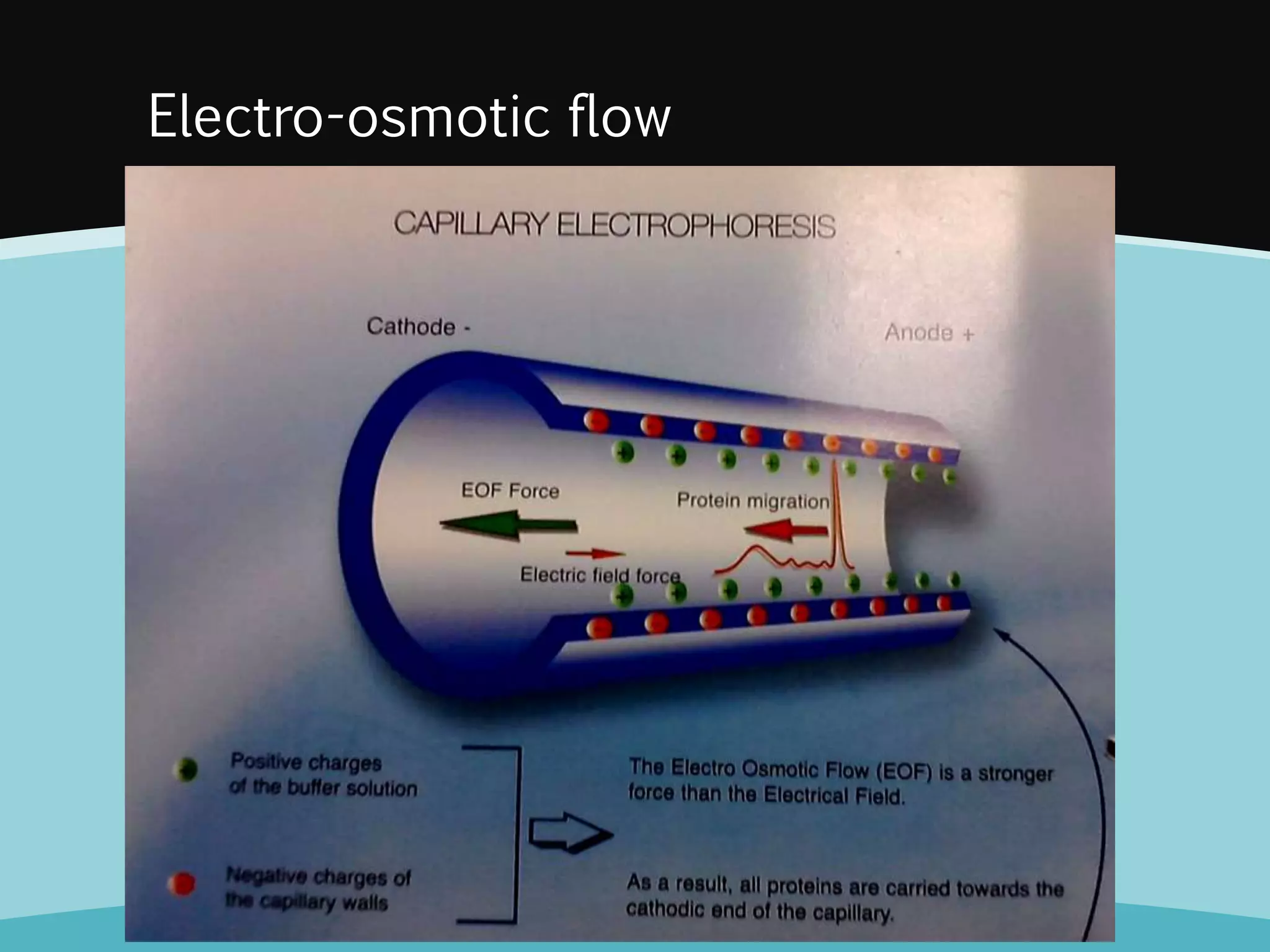 Capillary electrophoresis principles and applications | PPTX