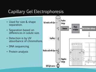 Capillary electrophoresis principles and applications | PPT