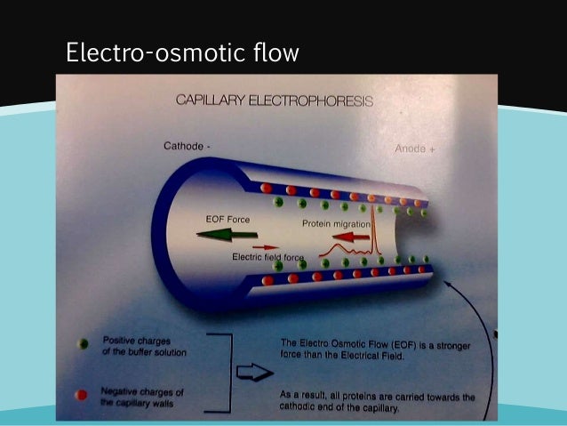 Capillary electrophoresis principles and applications
