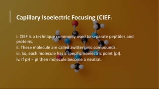 CAPILLARY ELECTROPHORESIS 1.pptx