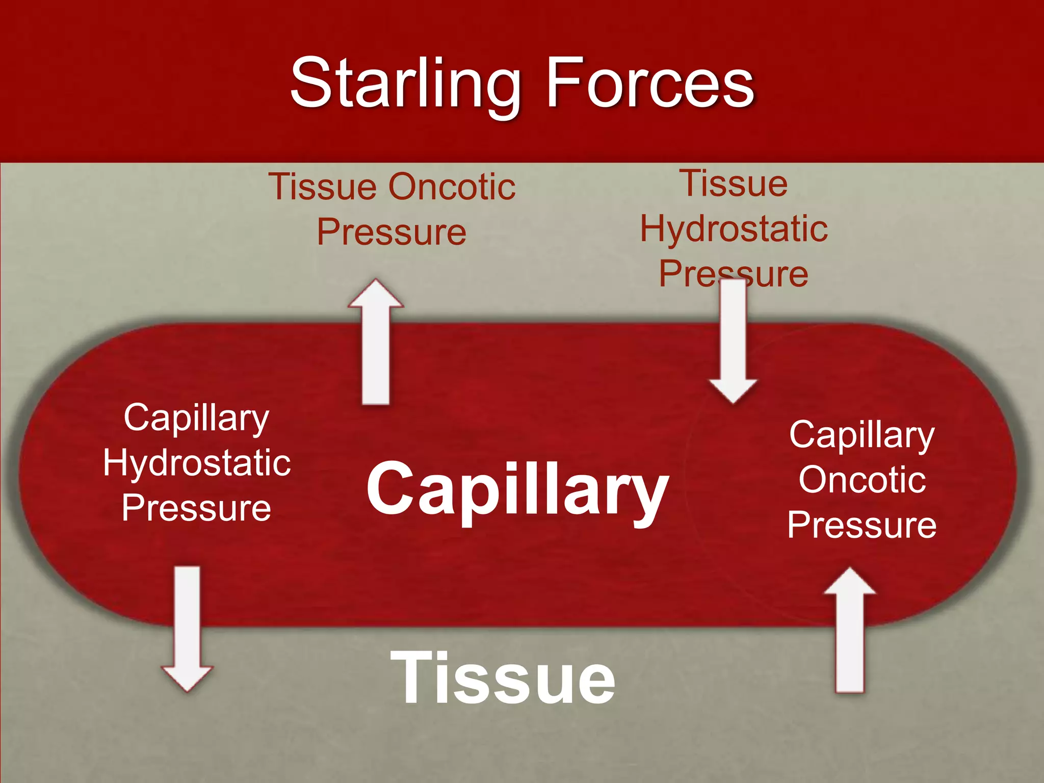 Capillary filtration pressure | PPTX
