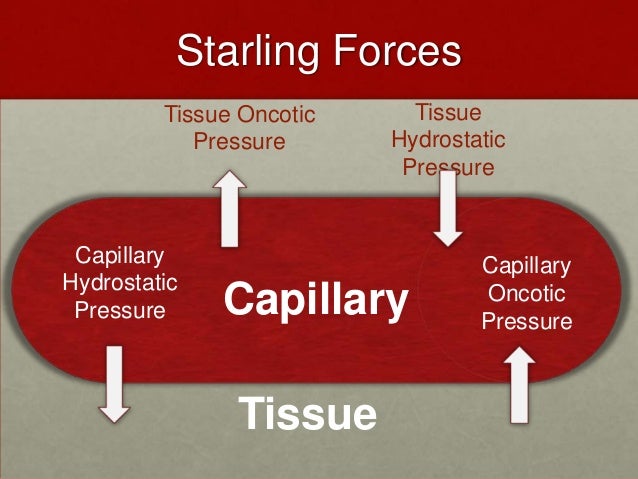 Hydrostatic Pressure Capillary