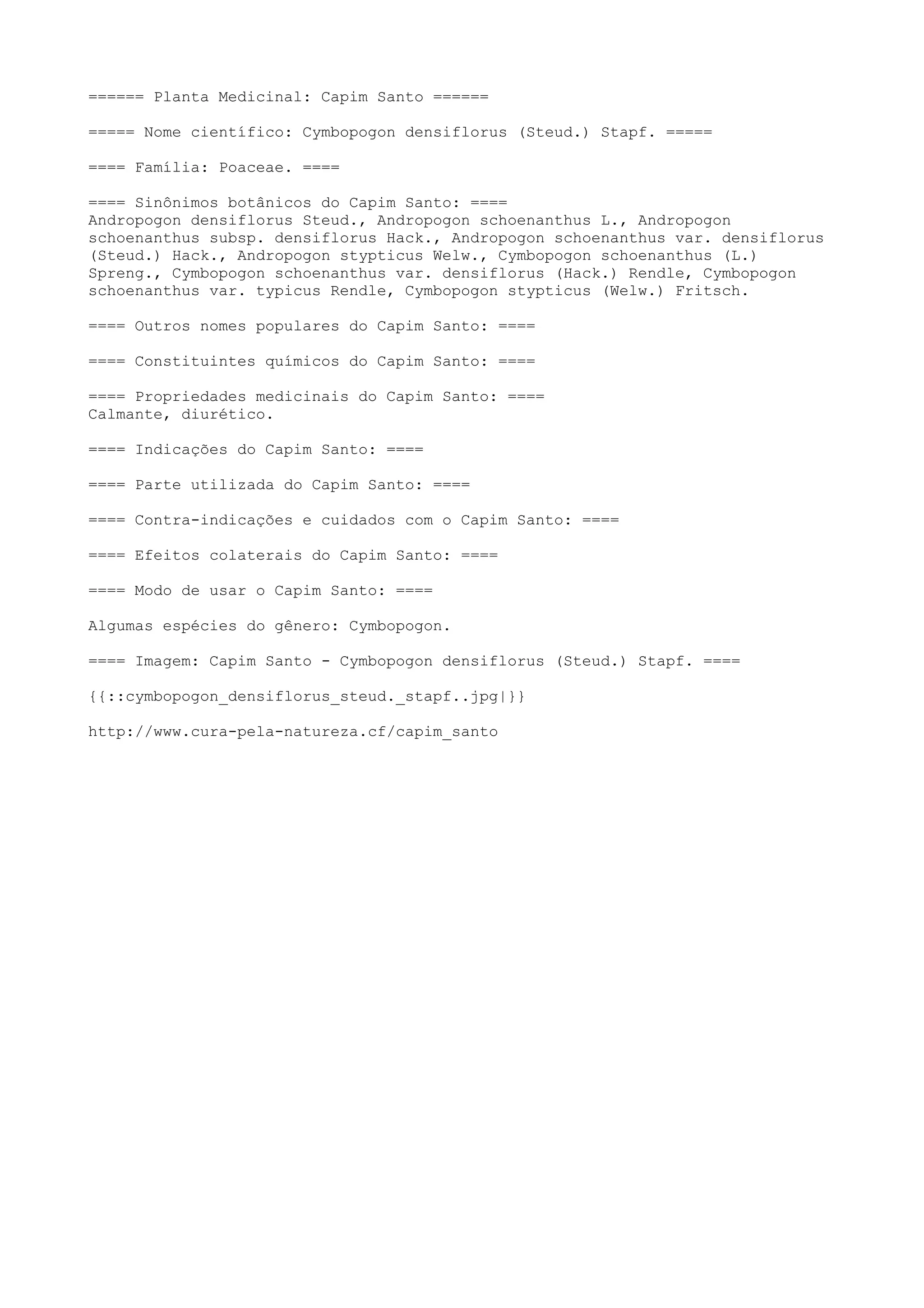 Capim santo - Cymbopogon densiflorus (Steud.) Stapf. | TXT