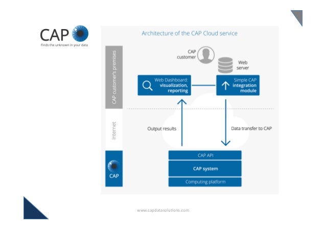 CAP Big Data analytics detects anomalies in server log files