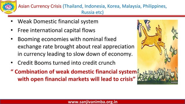 Capital account convertibility and capital controls | PPT