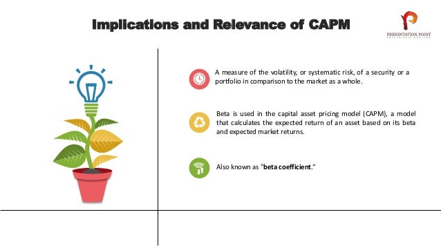 Capital Asset Pricing Model (CAPM).pptx