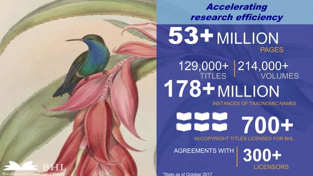 BHL's Feedback Tools and User Surveys | PPT