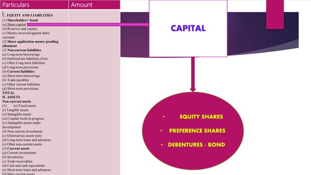 Capital market introduction | PPT