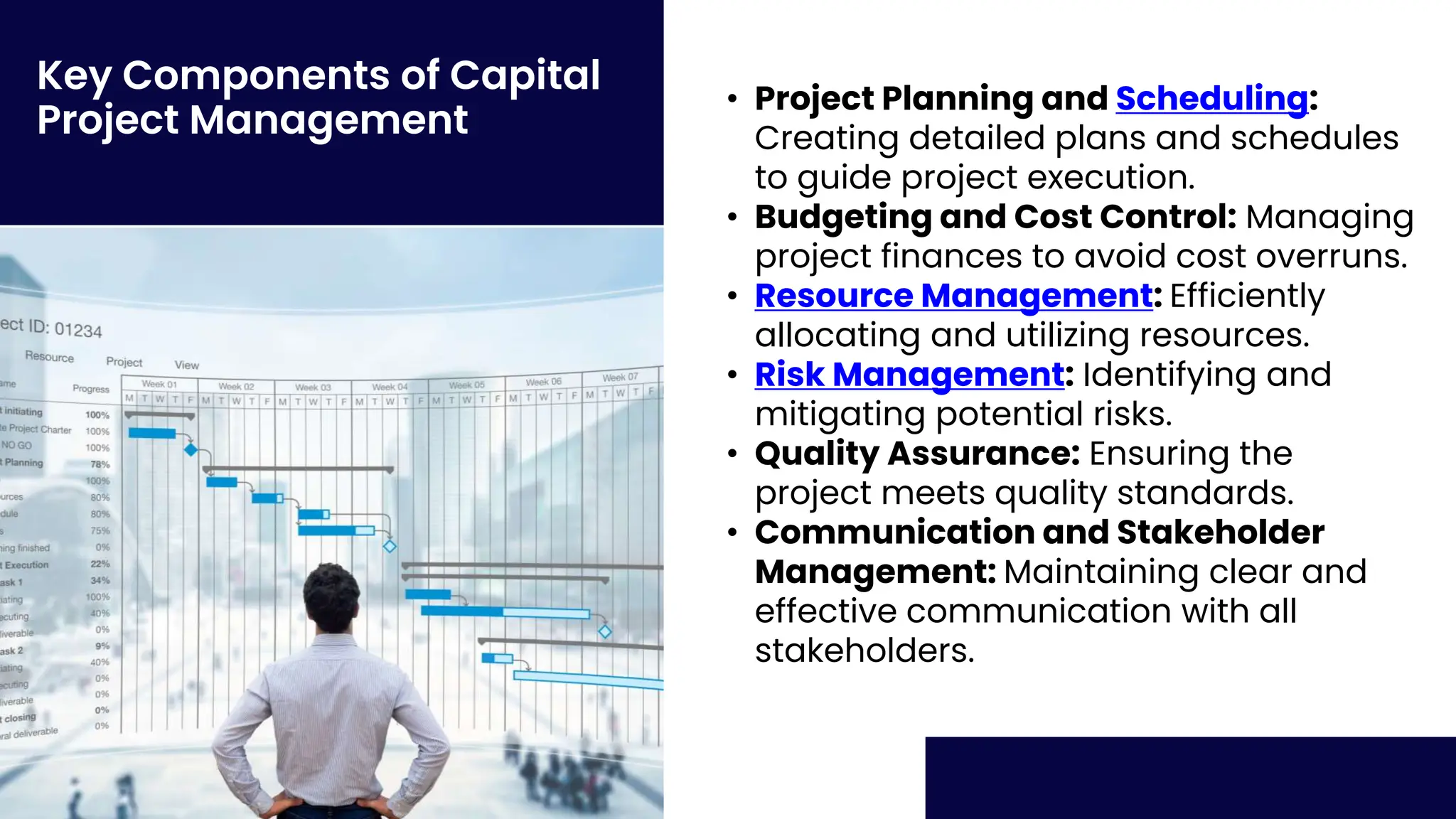 Comprehensive Guide to Capital Project Management: Strategies for ...
