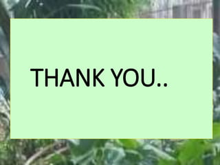 CAPITAL STRUCTURE ppt bba ipu business , financial management , capital ...