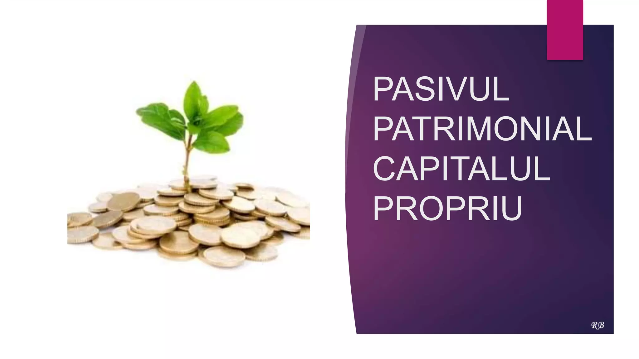 Capitalul propriu | PPTX