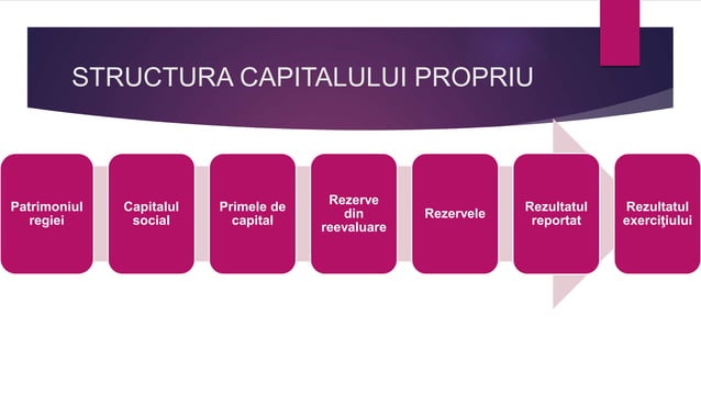 Capitalul propriu | PPTX