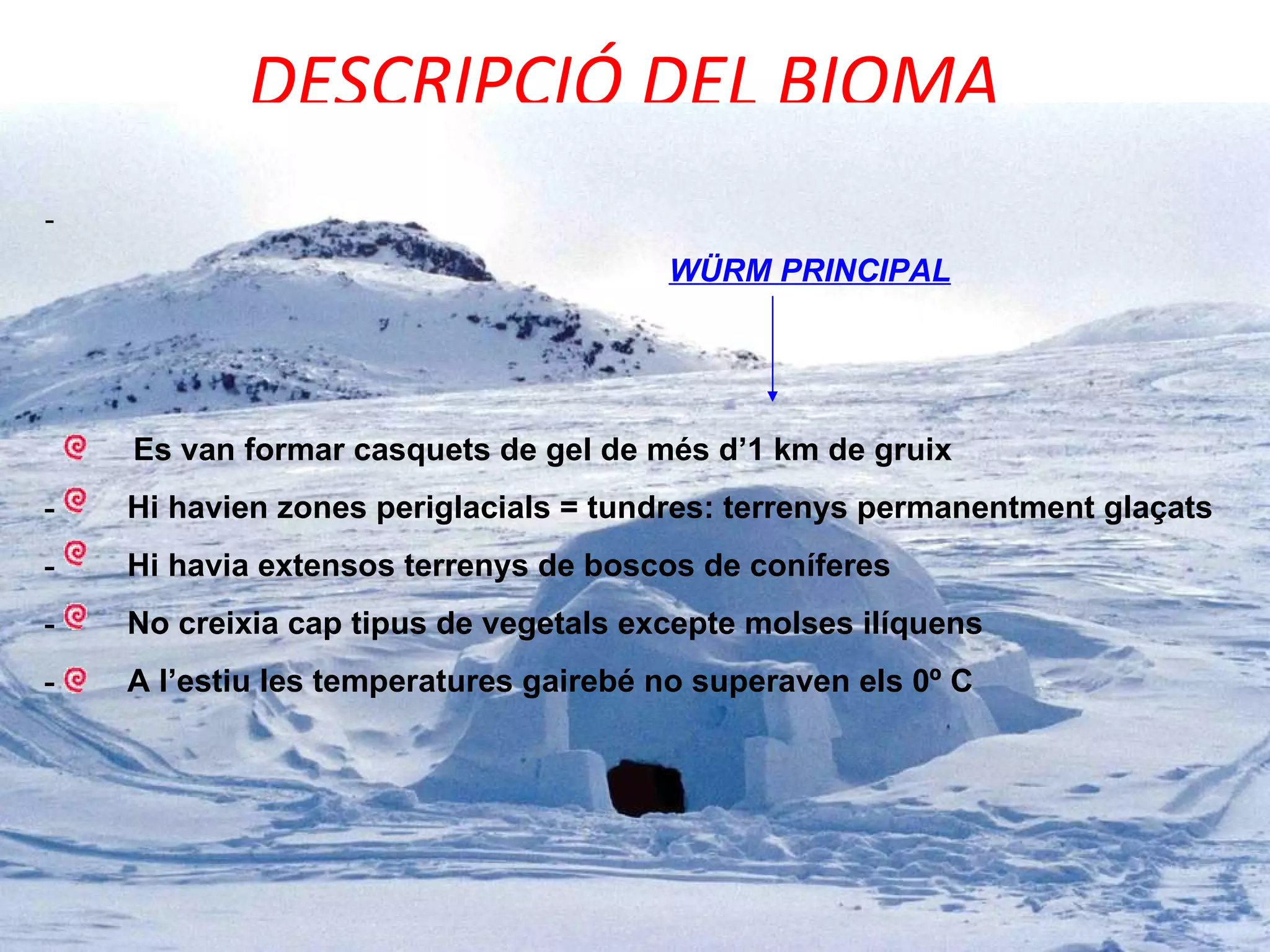 Capitol 7 ( mono obeso ) | PPT