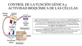 capitulo-3-control-genetico-de-la-sintesis-proteica-las-funciones-de-la ...