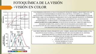 capitulo-51-el-ojo-ii-funcion-receptora-y-nerviosa-de-la-retina.pptx