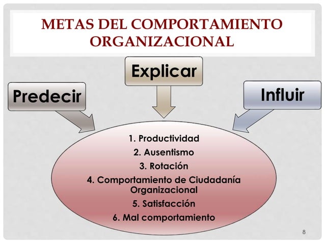 ¿Cómo entender el comportamiento individual? | PPTX | Human Resources ...