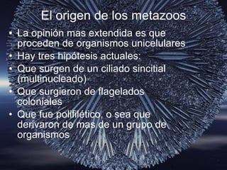 Capitulo 13 mezoos y parazooos | PPT