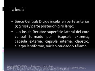 el cerebro | PPTX