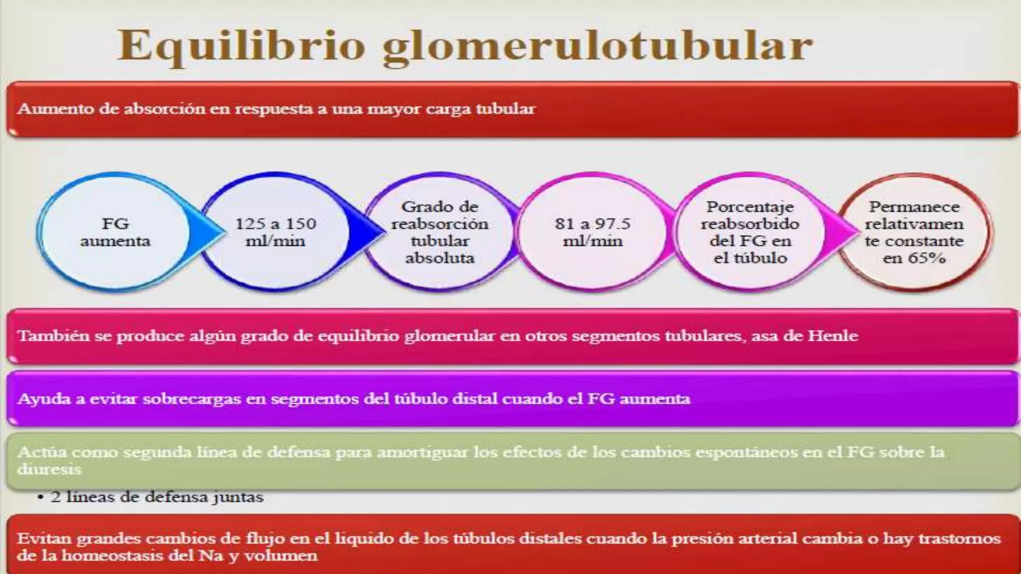 Capitulo 28 reabsorcion y secrecion tubular renal | PPT