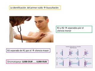 auscultacion cardiaca. clinica | PPTX