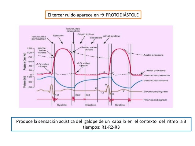 auscultacion cardiaca. clinica