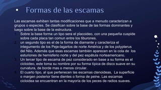 Capitulo 4 Ictiologia .pptx presentacion sobre los peces | PPTX