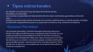 Capitulo 4 Ictiologia .pptx presentacion sobre los peces | PPTX