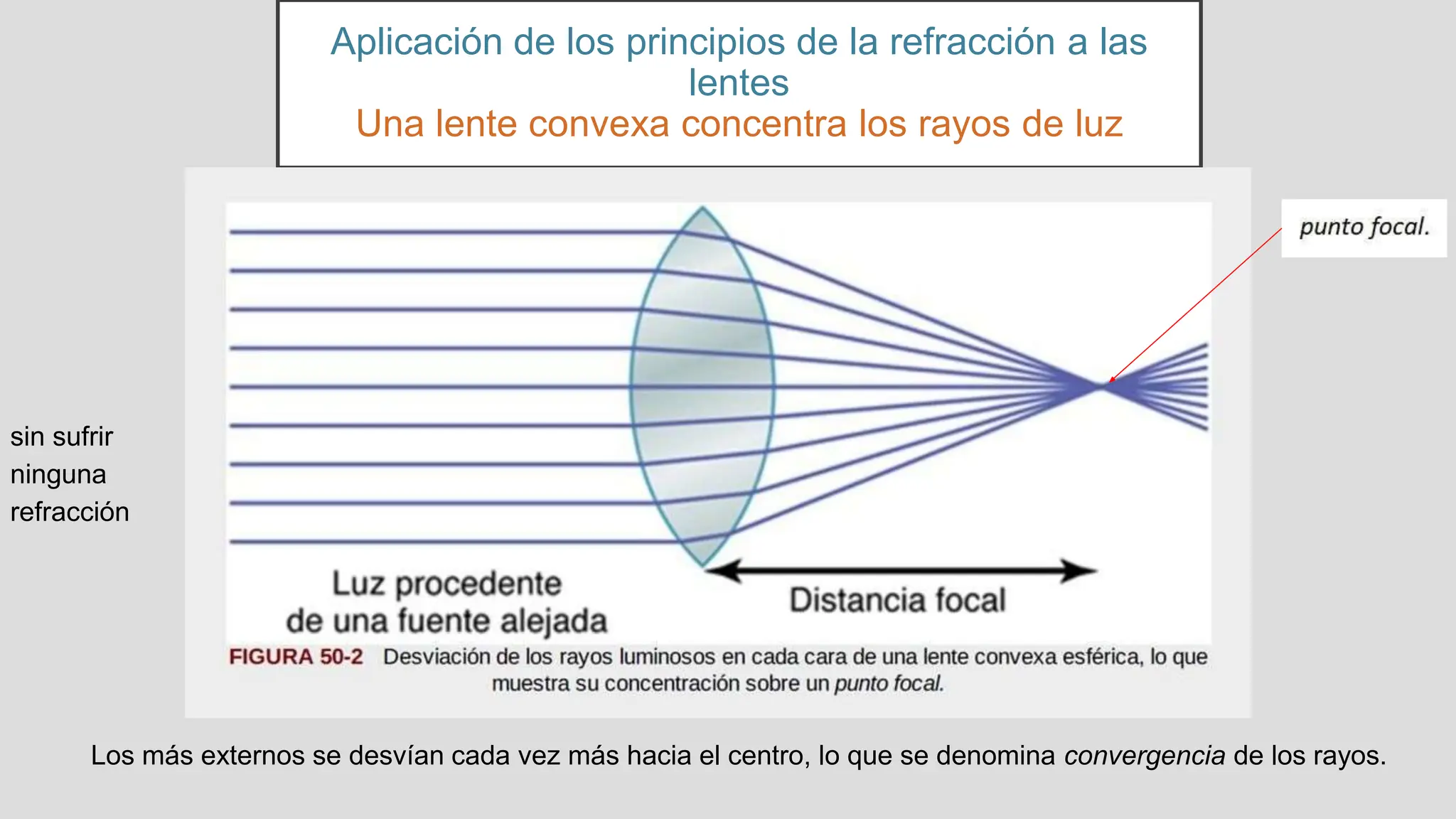 Capitulo 50 Fisiologia Guyton El ojo óptica de la visión.pptx
