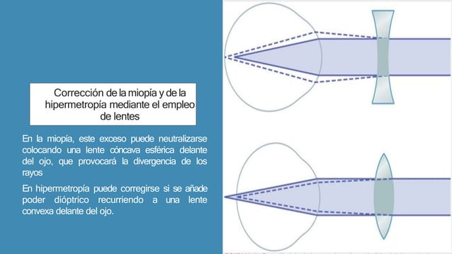 Capitulo 50 Fisiologia Guyton El ojo óptica de la visión.pptx