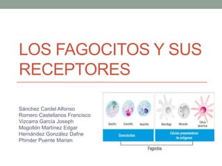 Capitulo 5 los fagocitos y sus receptores | PPTX