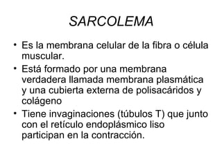 Capitulo 6 Modificado | PPT